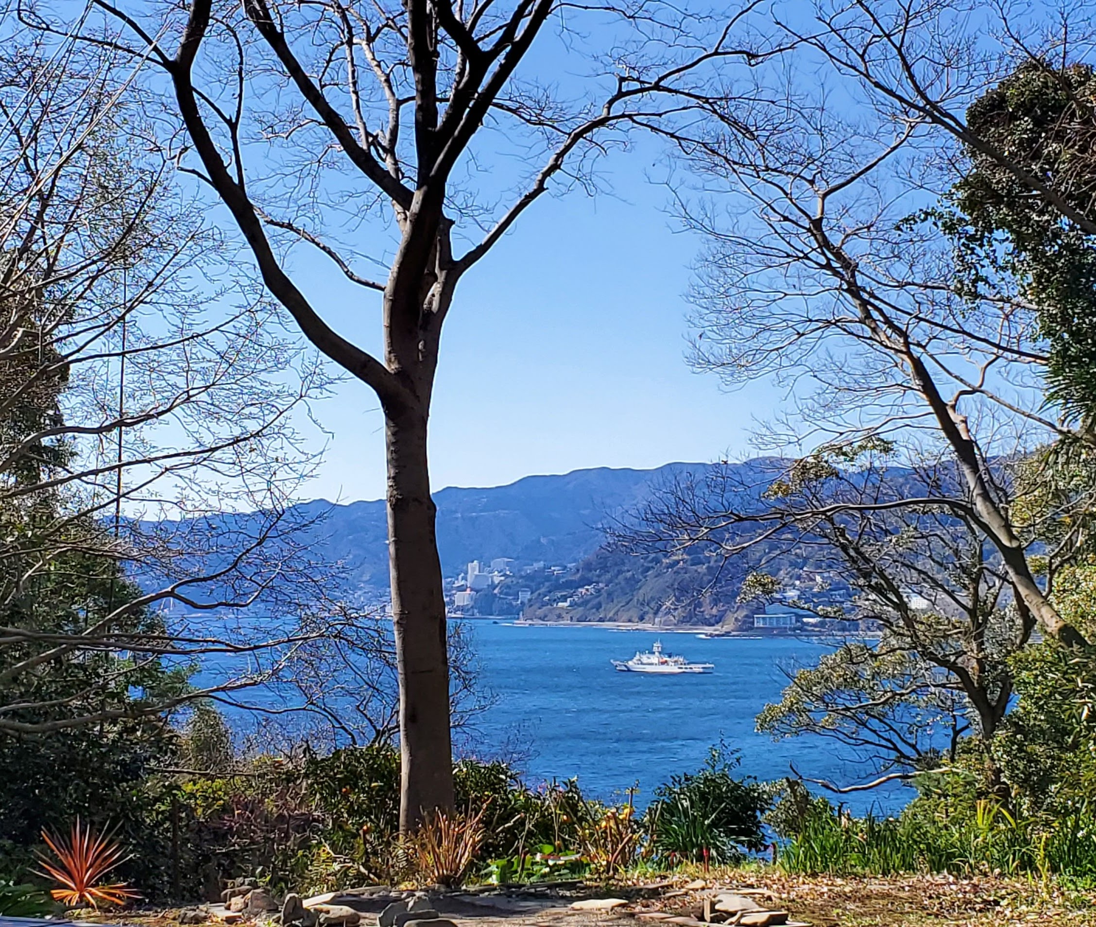 exhibition – scrumpcious / owasu mori